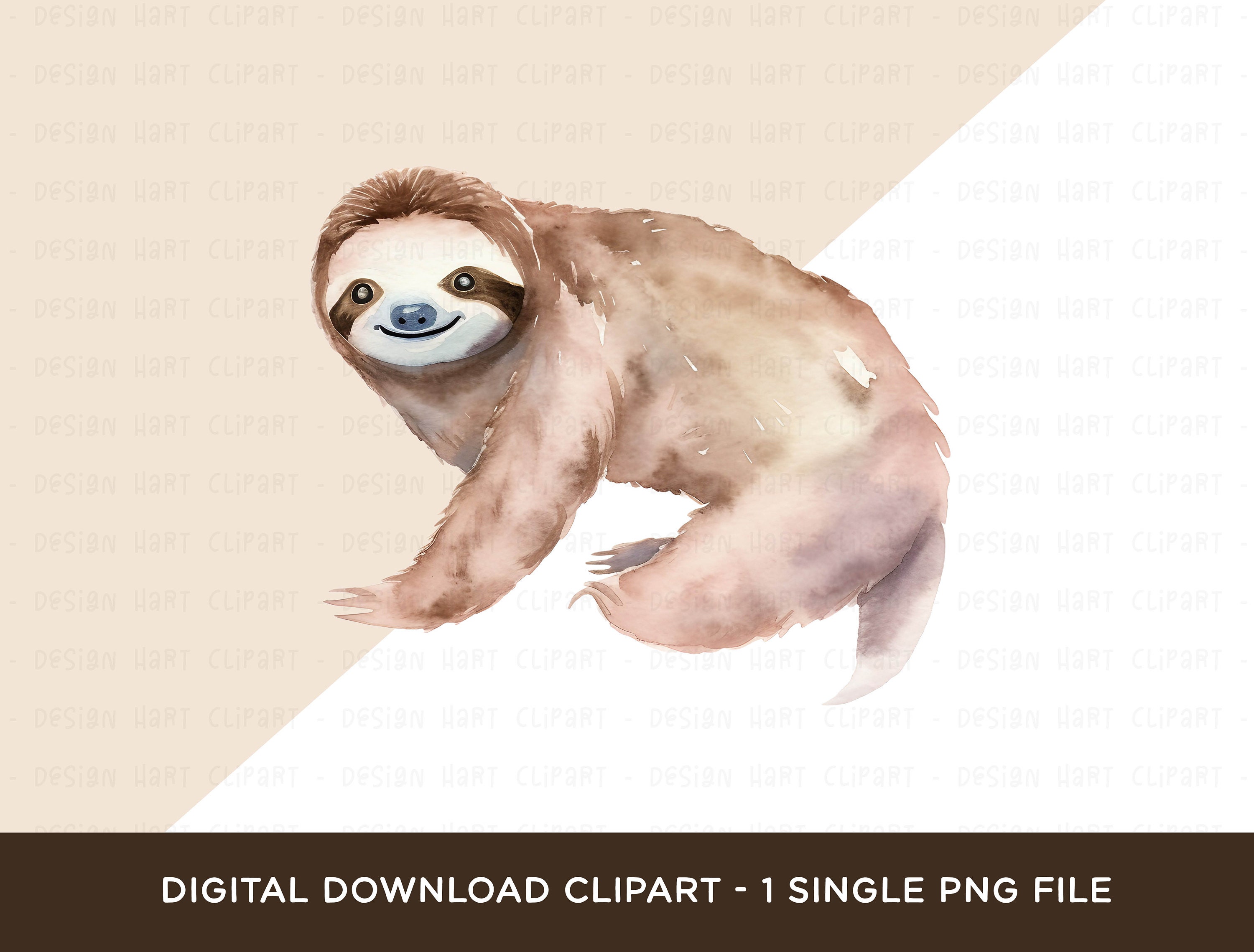 Watercolor Sloth Clipart Cute Sloth PNG for Birthday Invitations ...