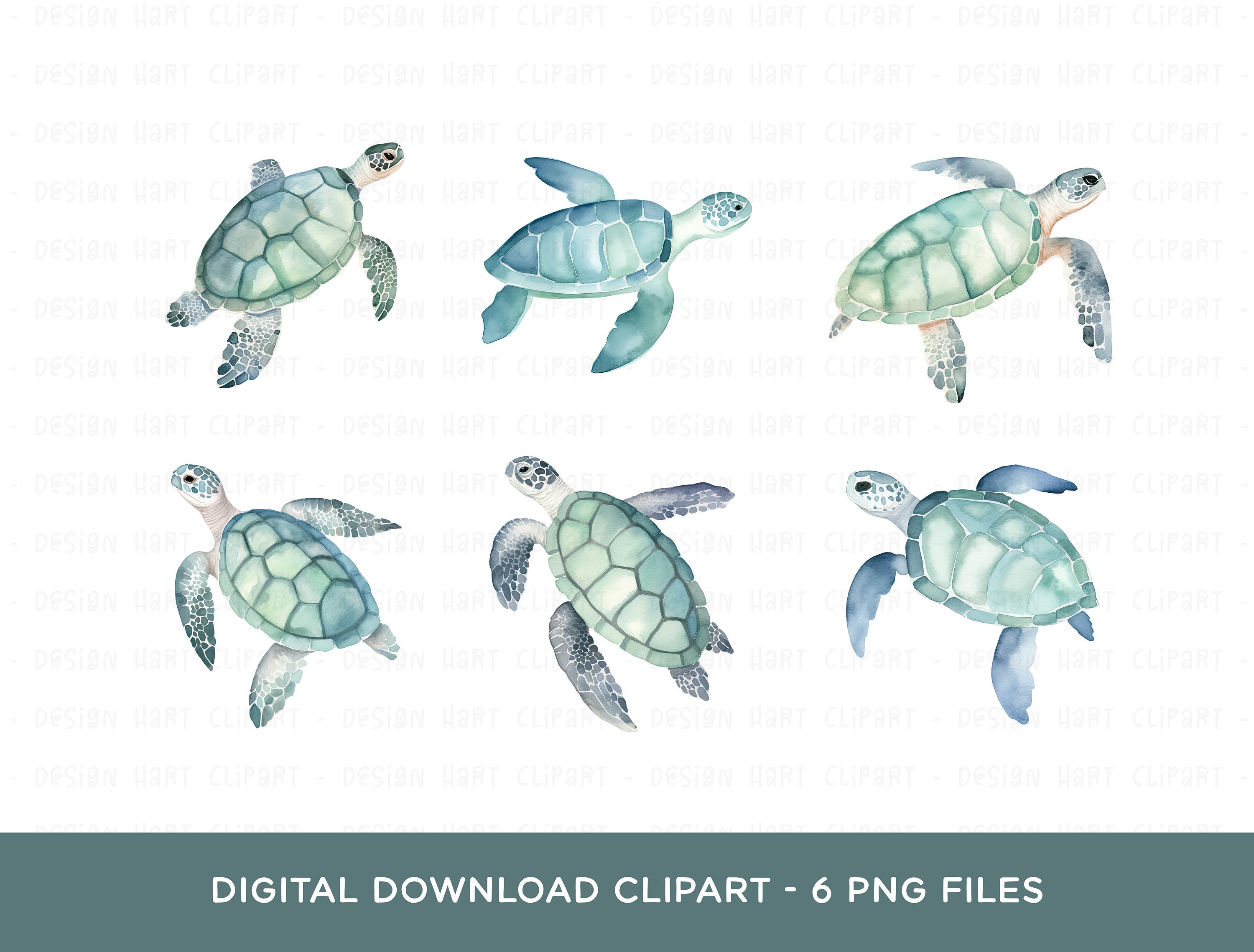 Sea Turtle Clipart Set, Watercolor Ocean Creature Graphics Blue Green ...