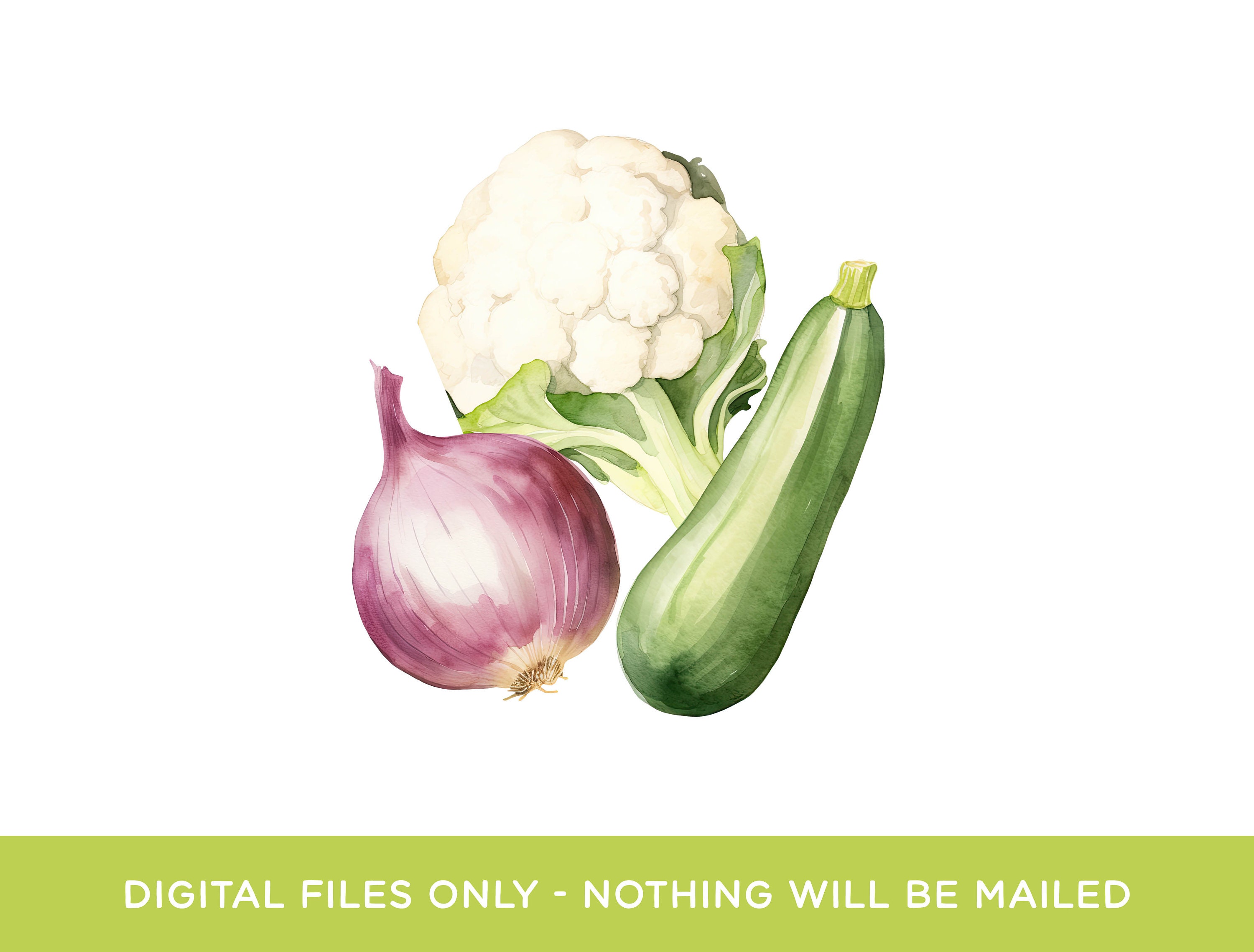 Vegetable Clipart Bundle Set Watercolor Veggies PNG Healthy - Etsy