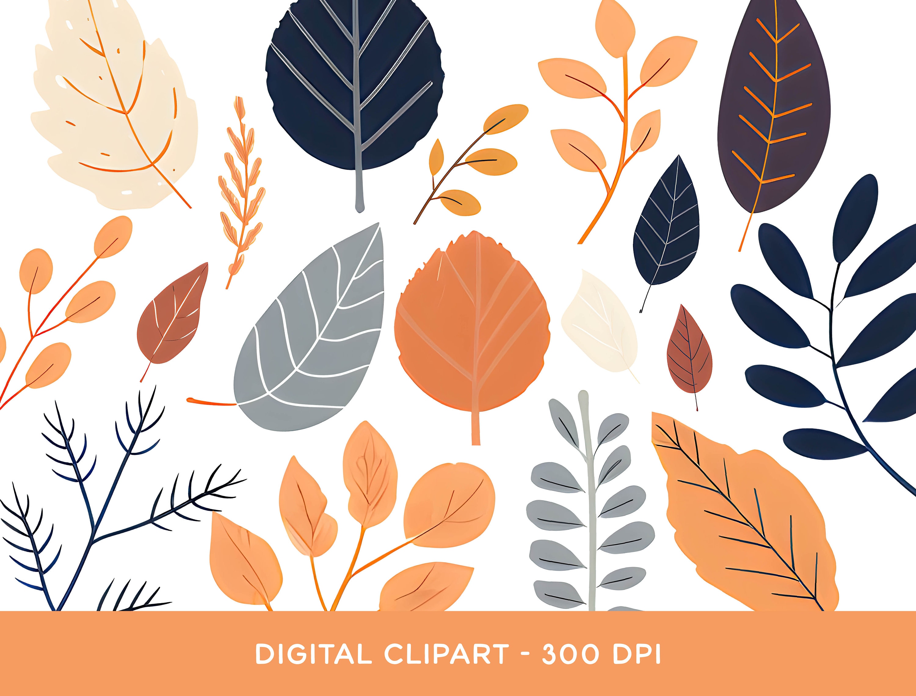 Fall Leaves Clipart Bundle, PNG Commercial Use, Autumn Leaf Graphics ...