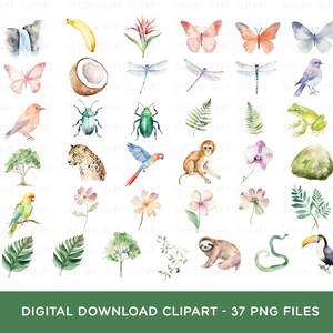 Rainforest Clipart Bundle Set, PNG Sublimation Graphics Digital ...