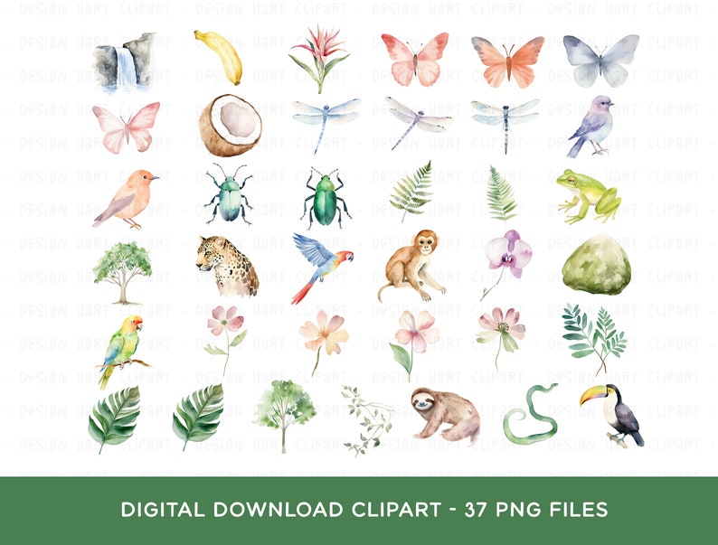 Rainforest Clipart Bundle Set, PNG Sublimation Graphics Digital ...