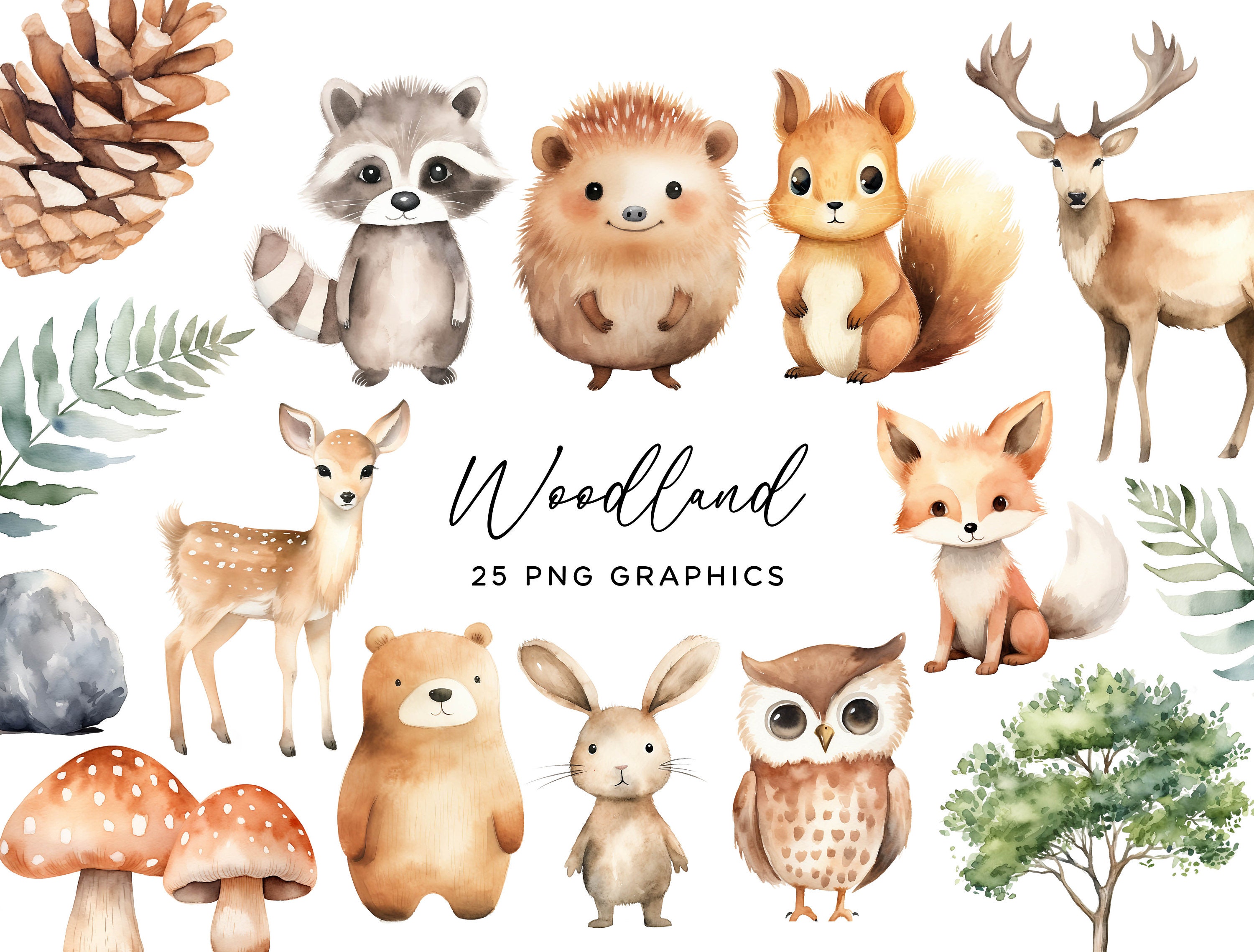 Woodland Animals Watercolor Clipart, Forest PNG Bundle Cute Fox Bear ...