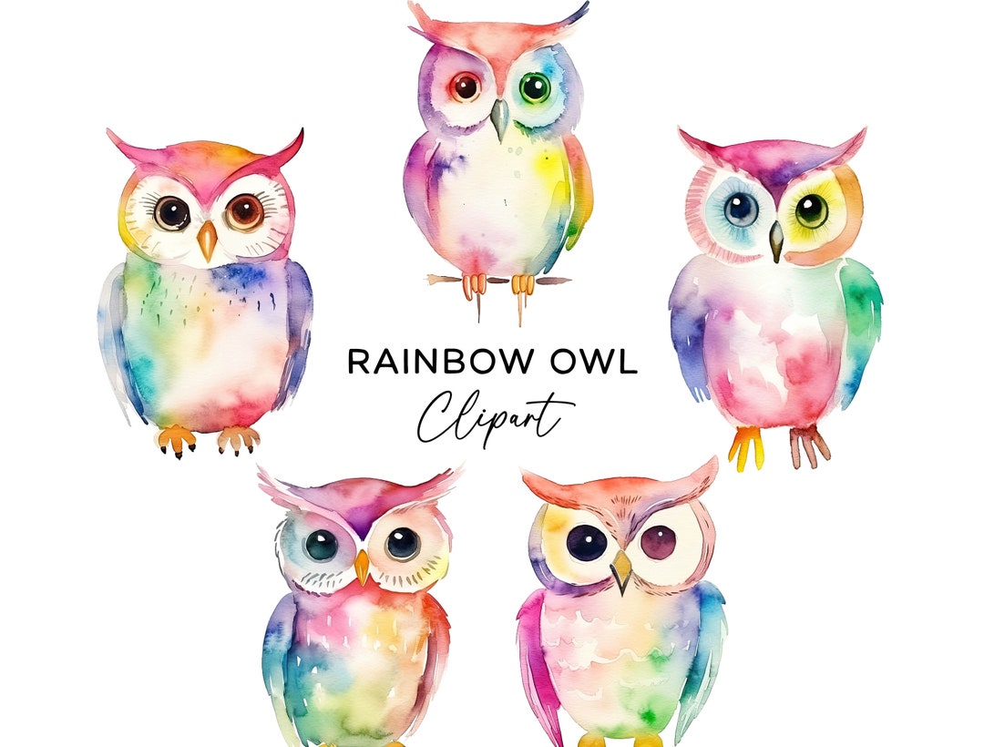 Rainbow Owl Clipart Bundle, Colorful Watercolor Bird PNG Sublimation ...