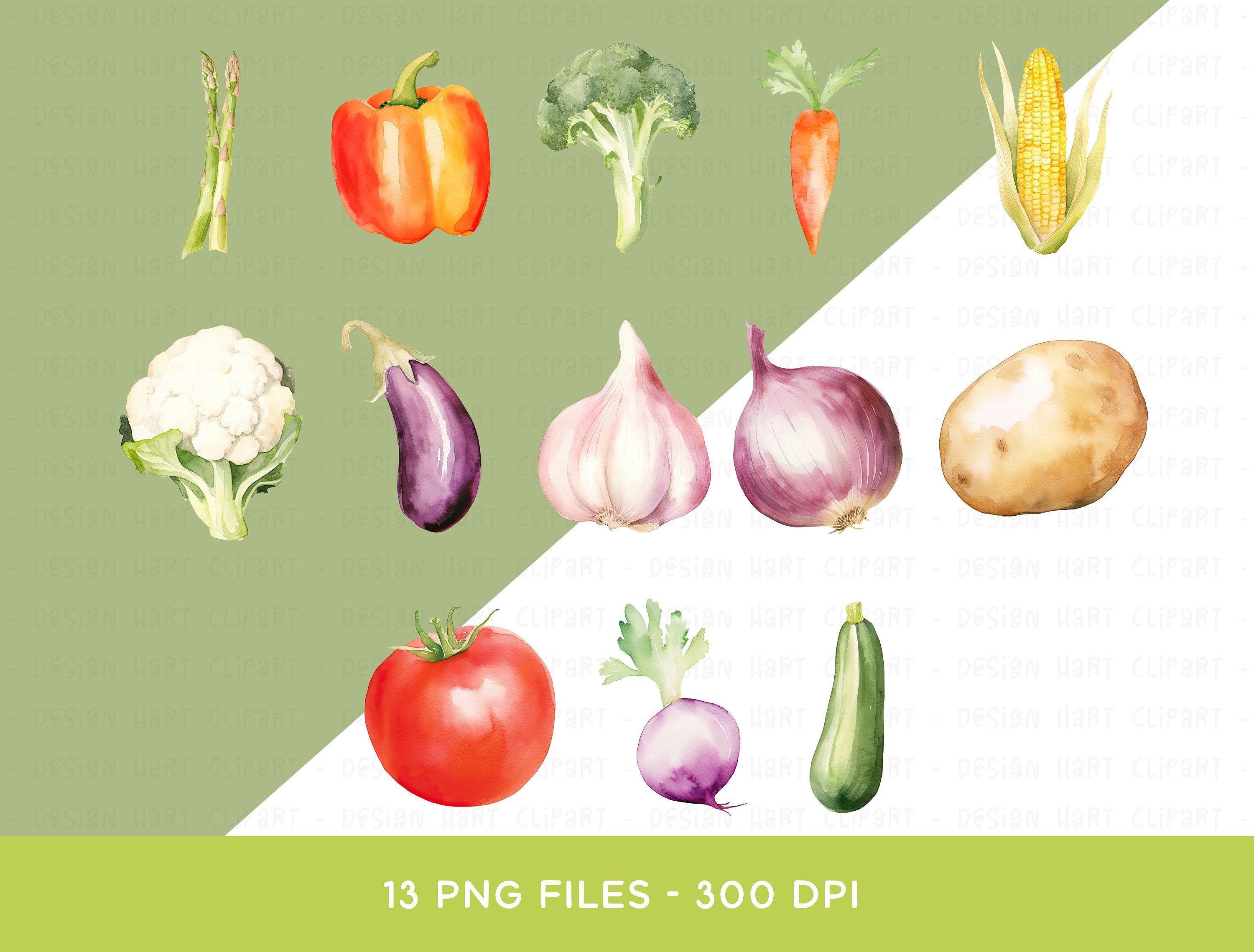 Vegetable Clipart Bundle Set Watercolor Veggies PNG Healthy - Etsy