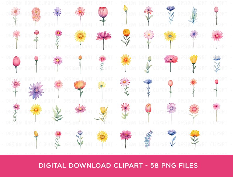 Watercolor Flower Clipart Bundle, Wildflower Graphics PNG Digital ...
