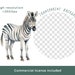Zoo Animal Clipart Bundle, Watercolor Safari PNG Graphics, Commercial ...
