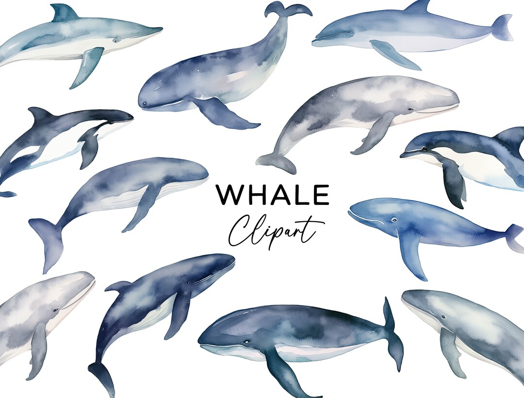 Whale Clipart Bundle Set, Watercolor Ocean Creatures Blue Whale PNG ...