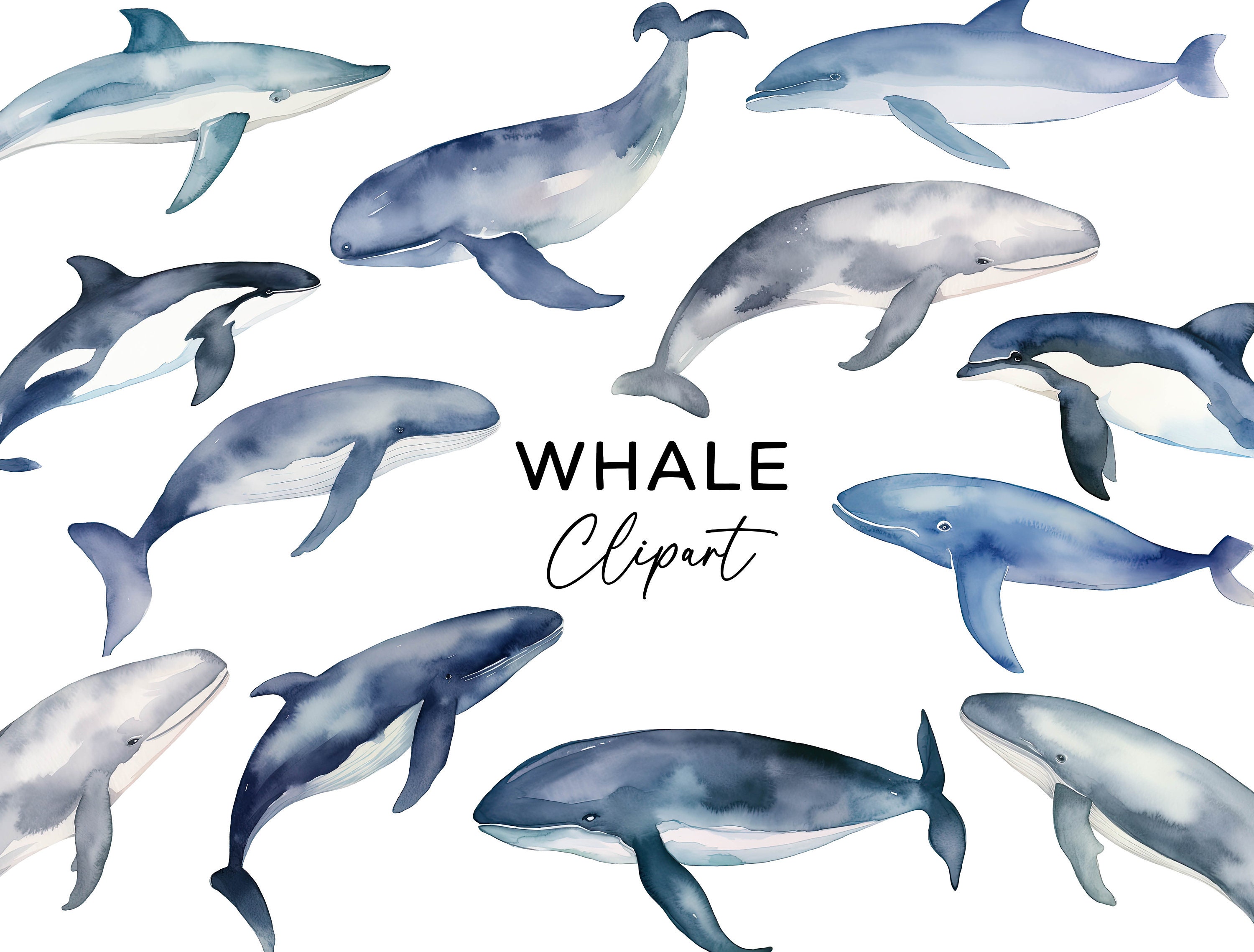 Whale Clipart Bundle Set, Watercolor Ocean Creatures Blue Whale PNG ...