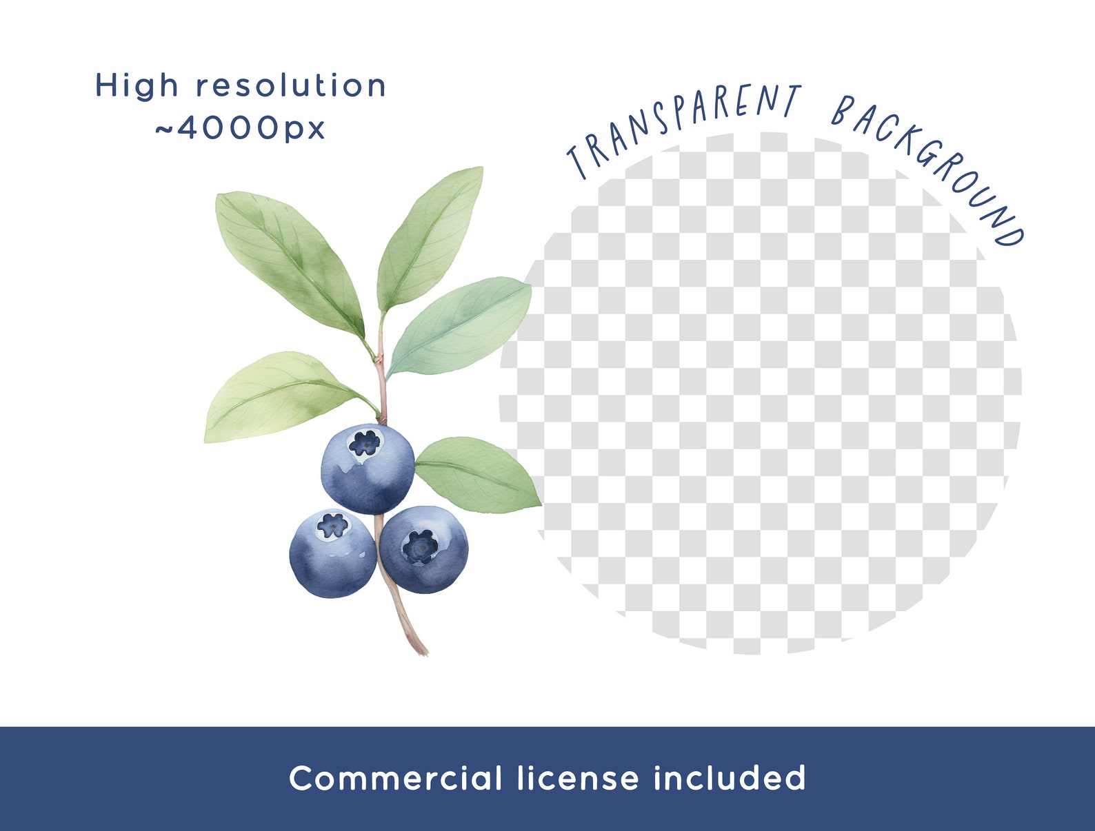 Blueberry Clipart Bundle Set, Watercolor PNG Graphics for Commercial ...