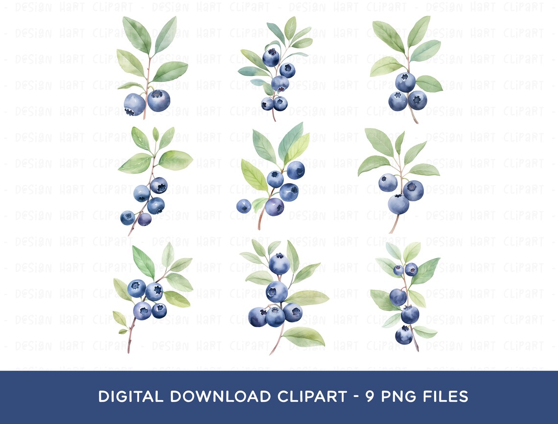 Blueberry Clipart Bundle Set, Watercolor PNG Graphics for Commercial ...