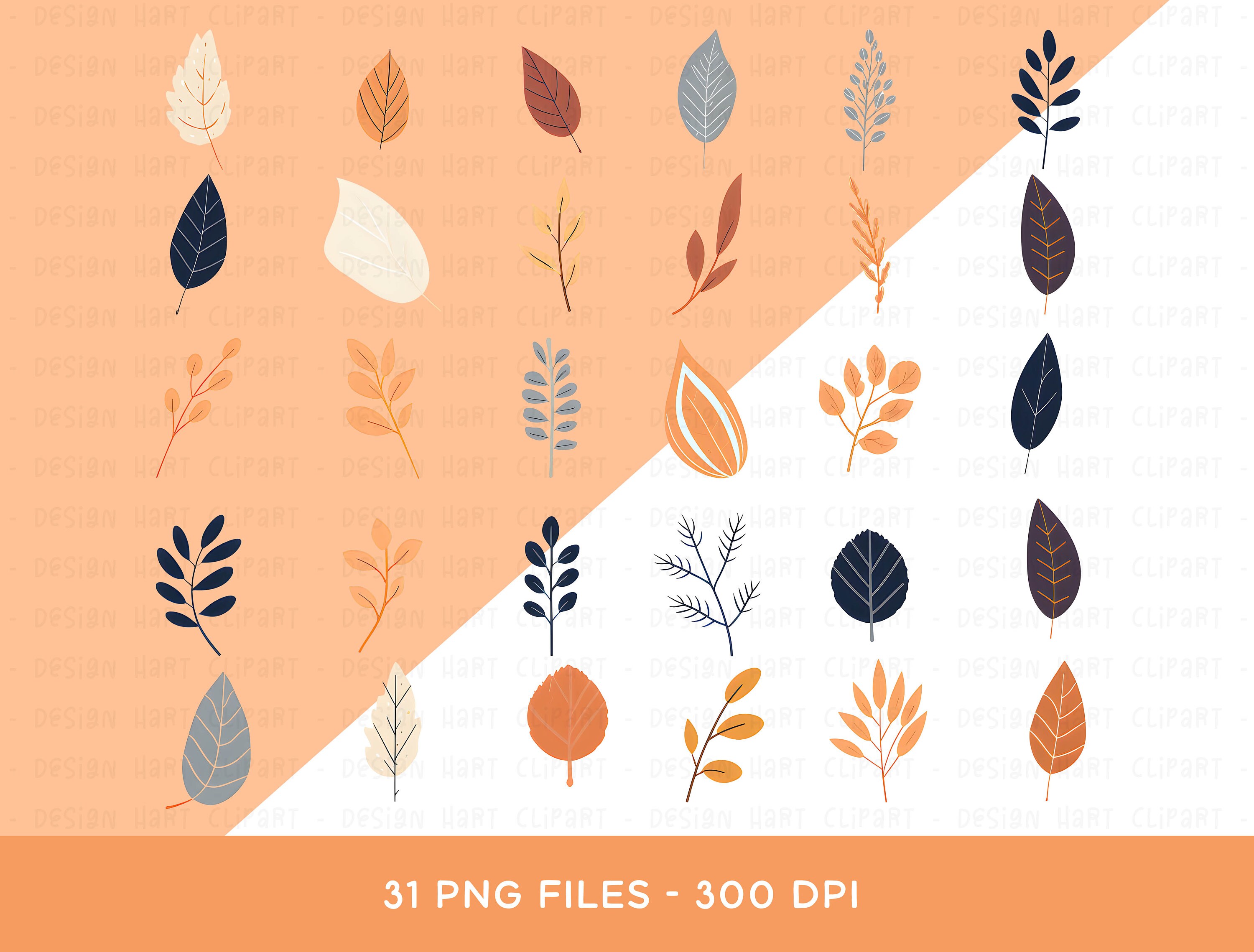 Fall Leaves Clipart Bundle, PNG Commercial Use, Autumn Leaf Graphics ...
