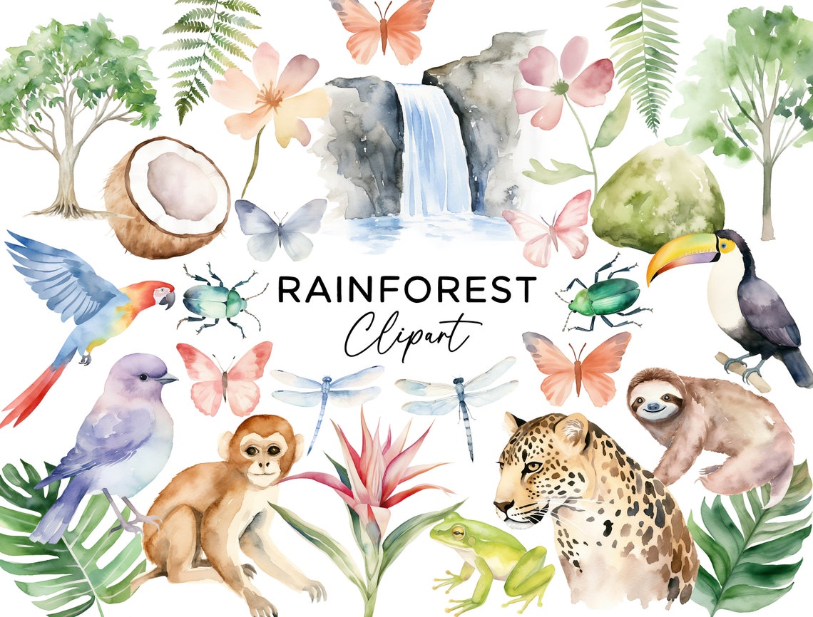 Rainforest Clipart Bundle Set, PNG Sublimation Graphics Digital ...