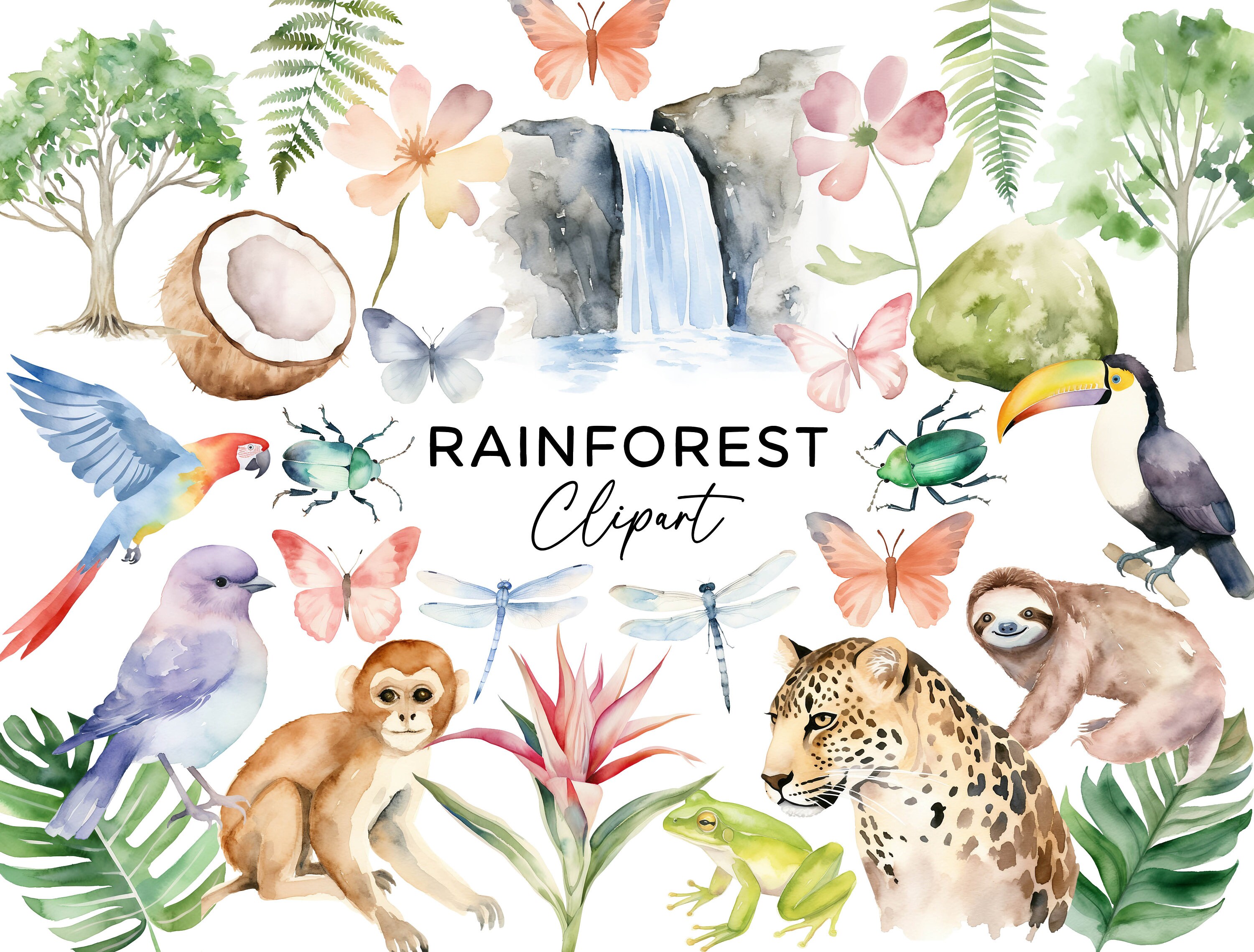 Rainforest Clipart Bundle Set, PNG Sublimation Graphics Digital ...