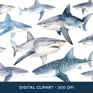 Watercolor Shark Clipart Bundle, Ocean Under the Sea Creatures Shark ...