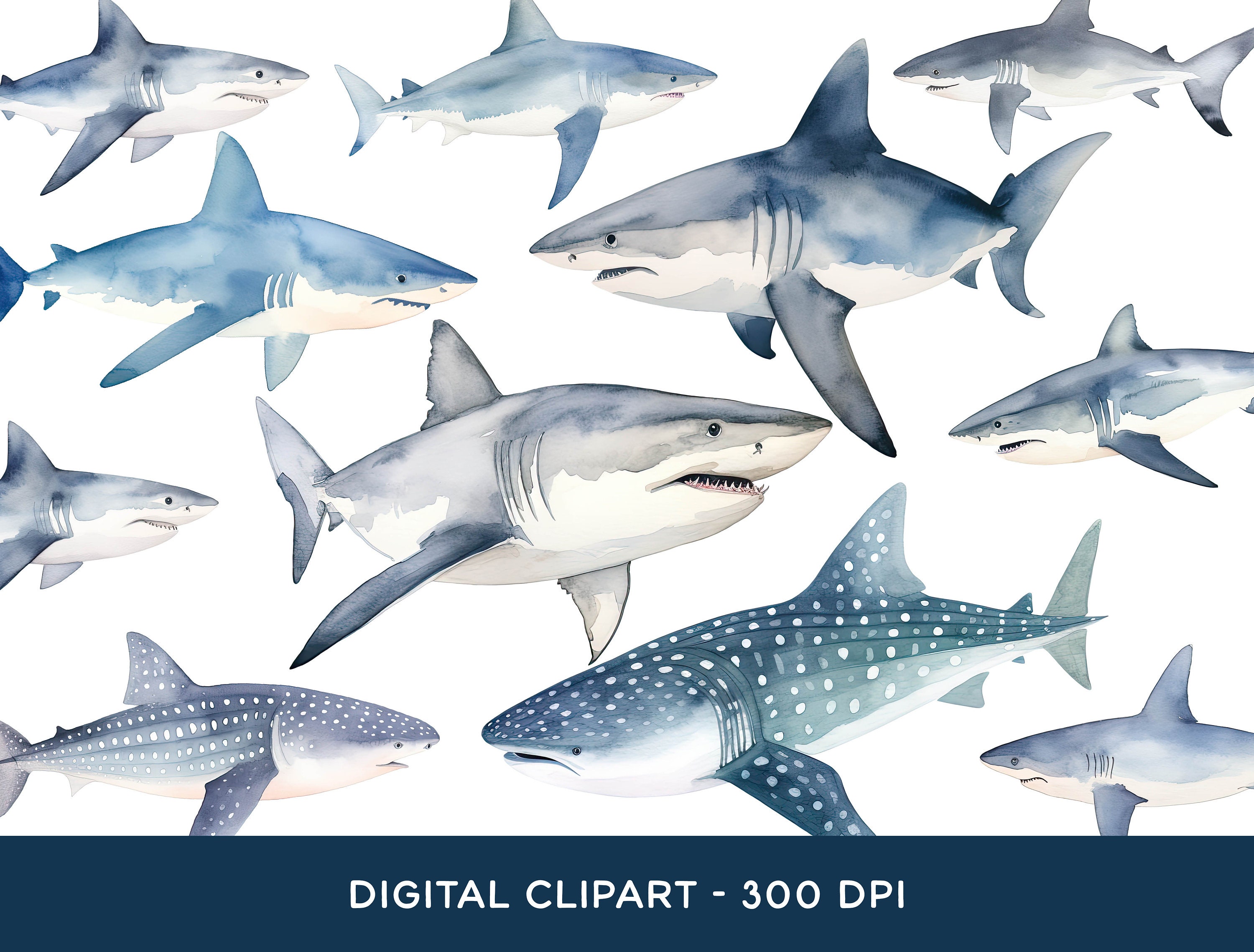 Watercolor Shark Clipart Bundle, Ocean Under the Sea Creatures Shark ...