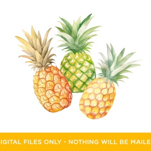 Pineapple Clipart Bundle, Watercolor Tropical Fruit PNG Hand Painted ...
