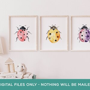 Ladybug Clipart Bundle Set - Watercolor Rainbow Ladybird Insect PNG for ...