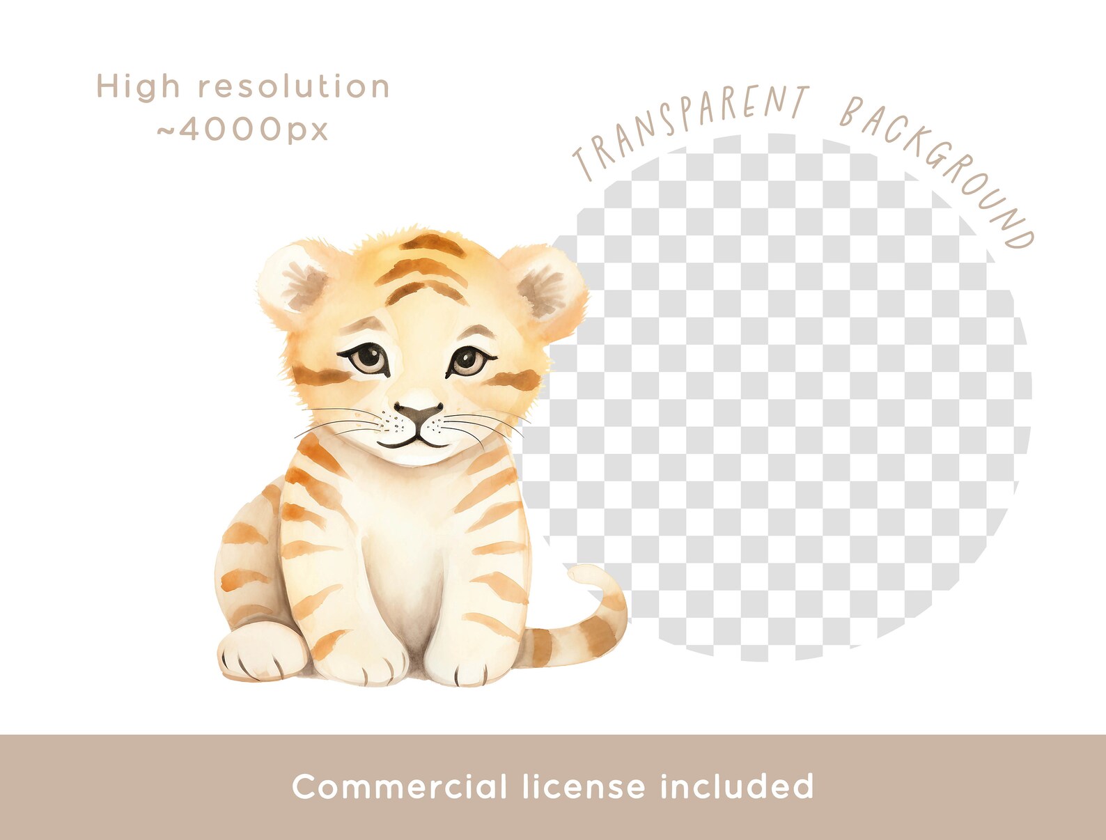 Baby Animals Clipart Bundle - Safari Jungle Zoo Lion Watercolor PNG for ...
