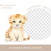 Baby Animals Clipart Bundle - Safari Jungle Zoo Lion Watercolor PNG for ...