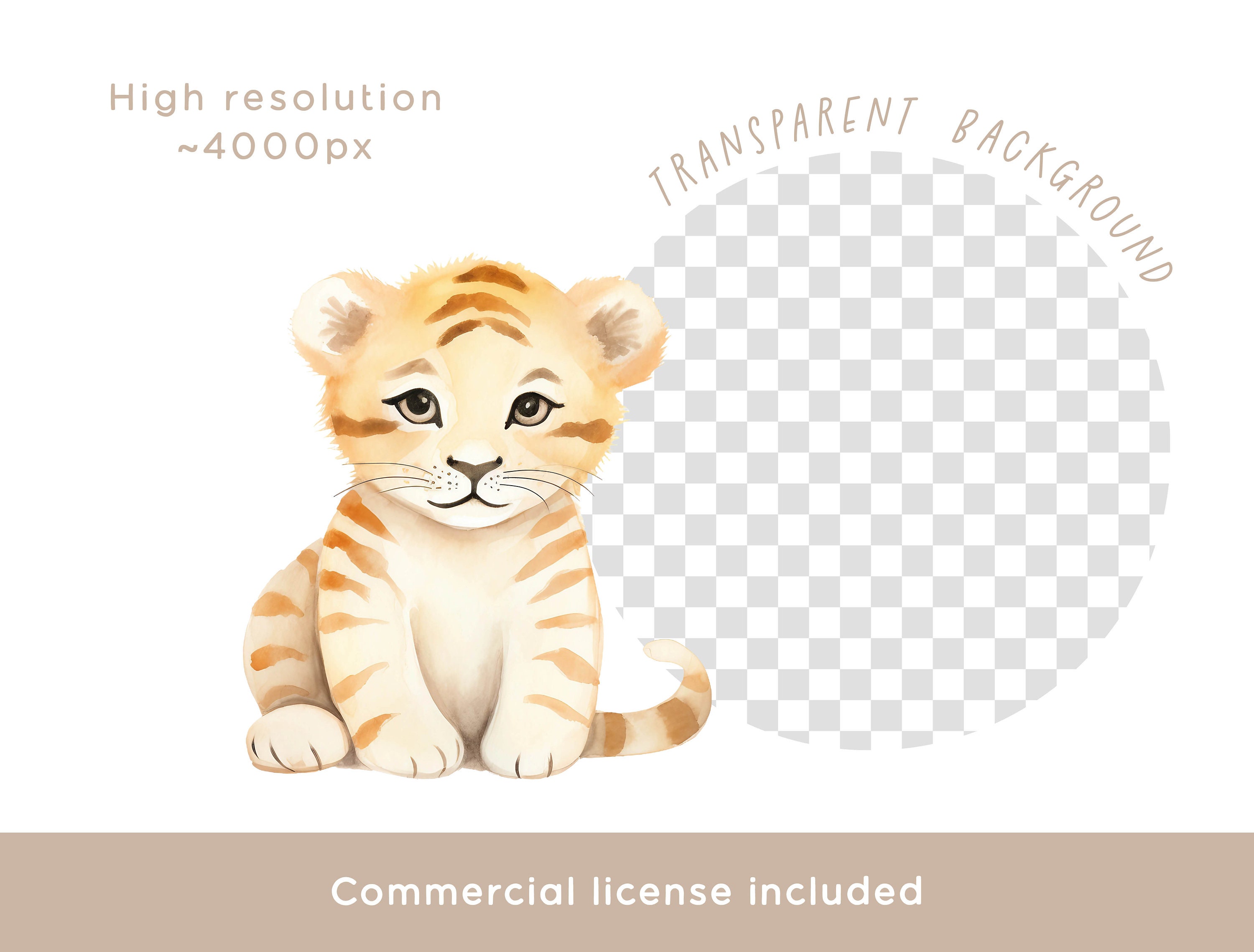Baby Animals Clipart Bundle Safari Jungle Zoo Lion Watercolor PNG for ...