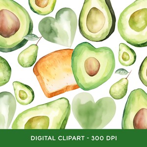 Avocado Clipart Bundle, Watercolor PNG Sublimation Graphics Commercial ...