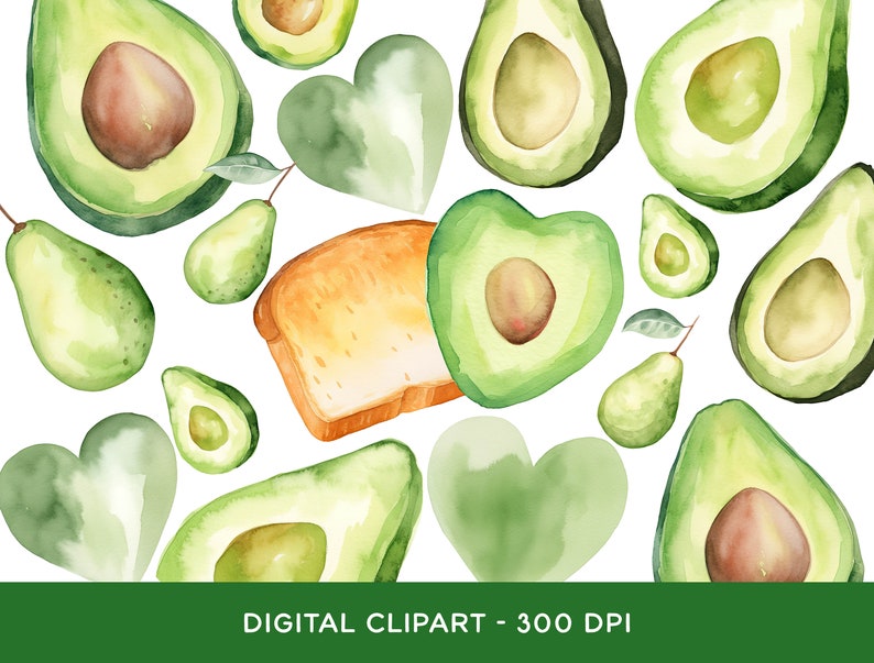Avocado Clipart Bundle, Watercolor PNG Sublimation Graphics Commercial ...