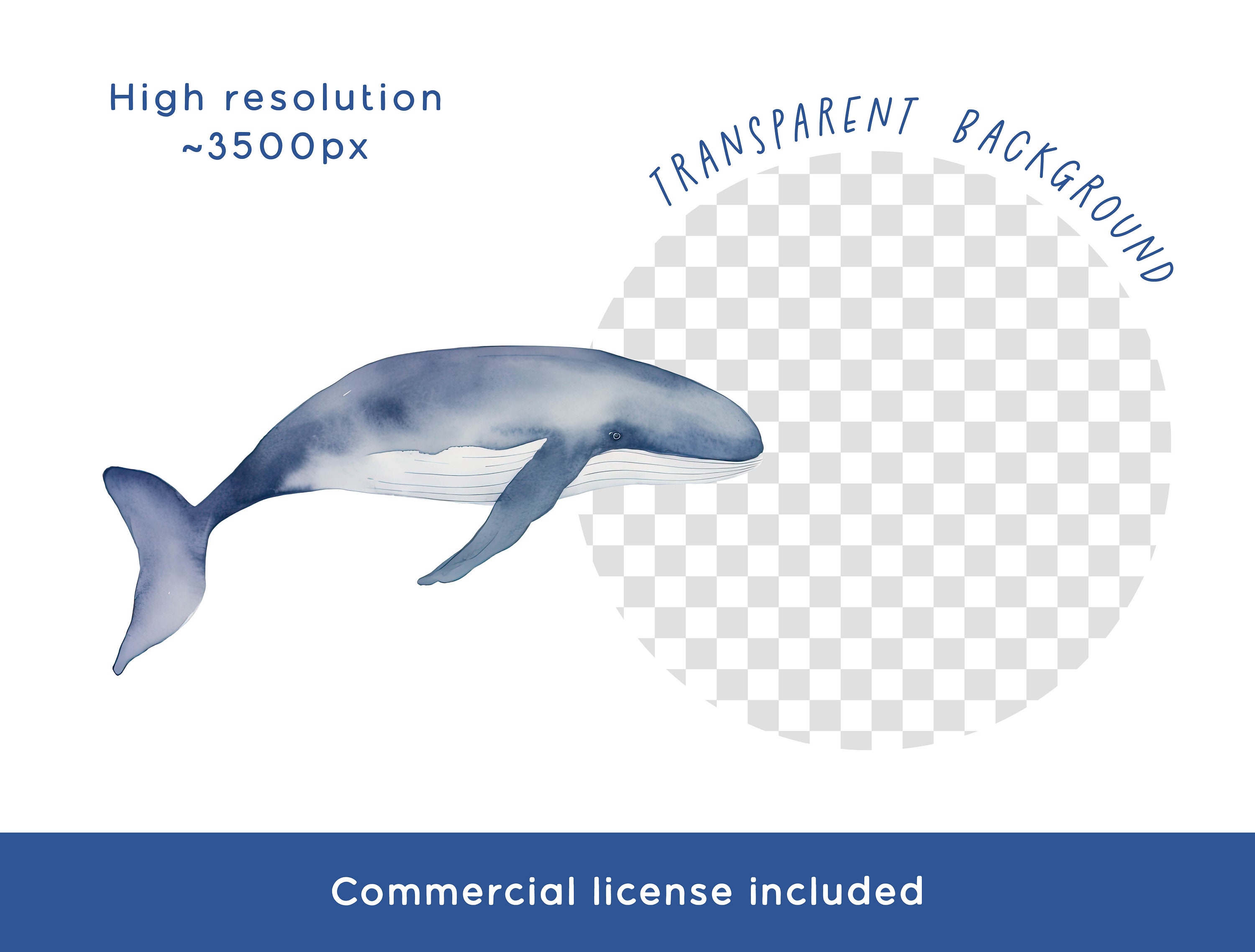 Whale Clipart Bundle Set, Watercolor Ocean Creatures Blue Whale PNG ...