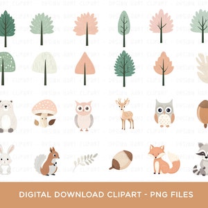 Woodland Animal Clipart Bundle, PNG Graphics Digital Download ...