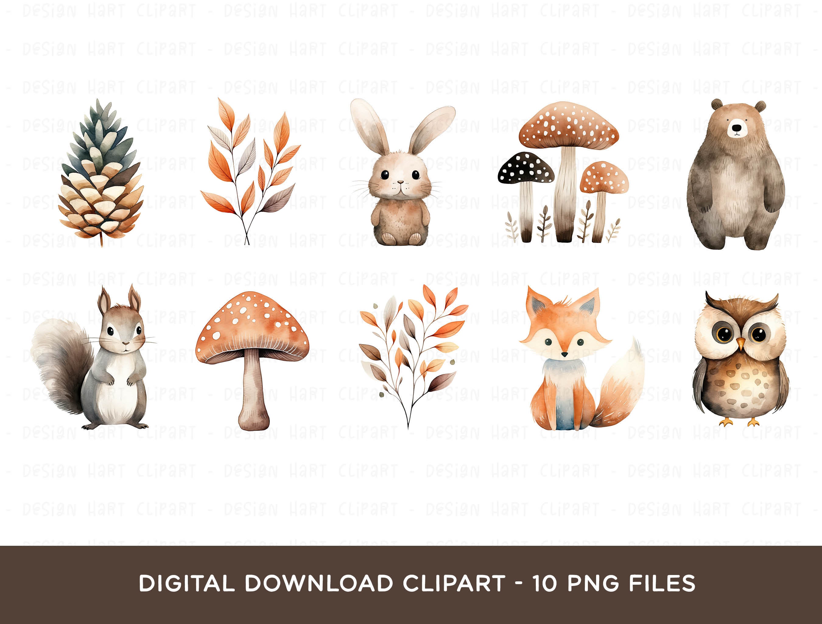 Woodland Animals Watercolor Clipart, Forest PNG Bundle Cute Fox Bear ...