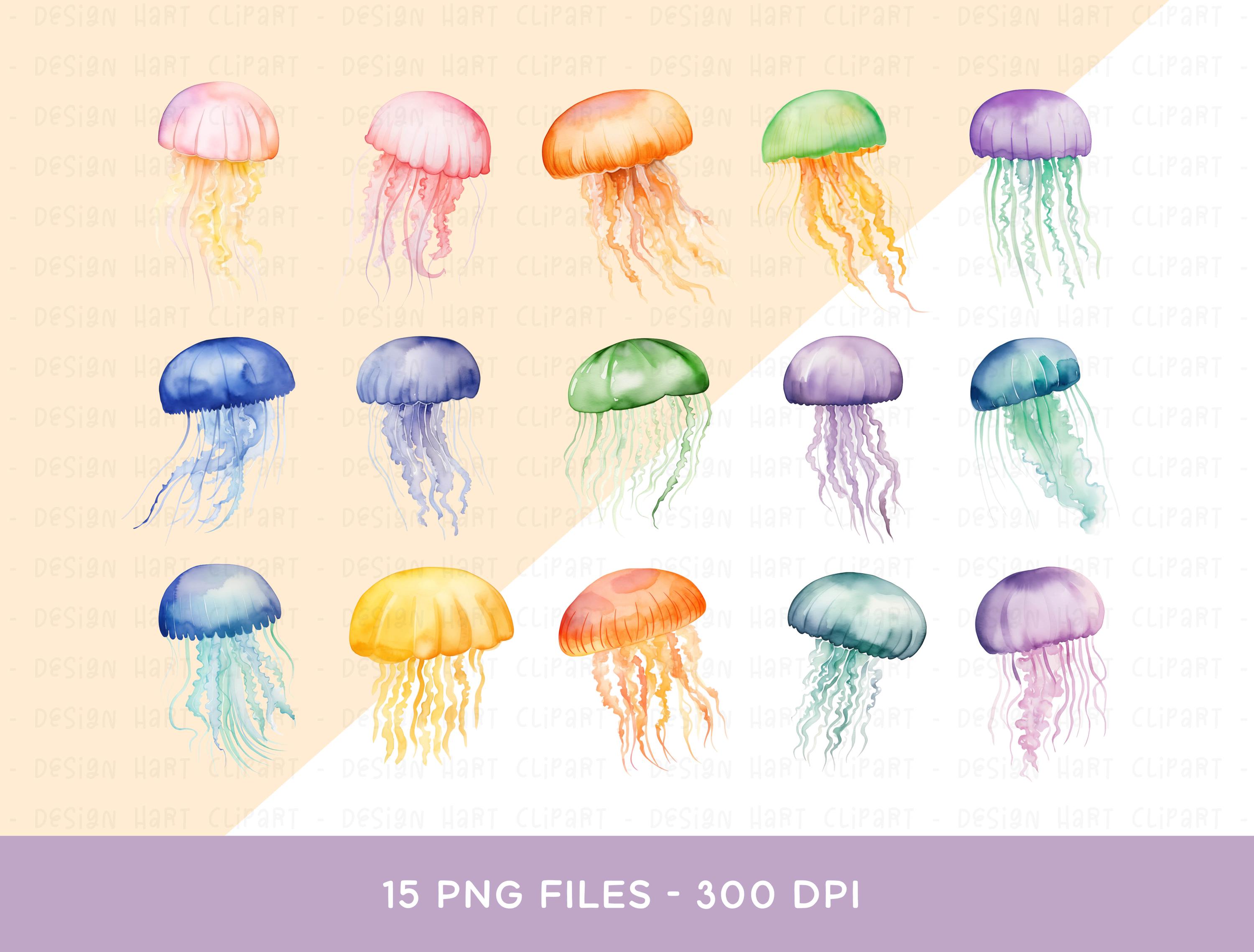 Jellyfish Clipart Bundle, PNG Graphics Digital Download Watercolor ...