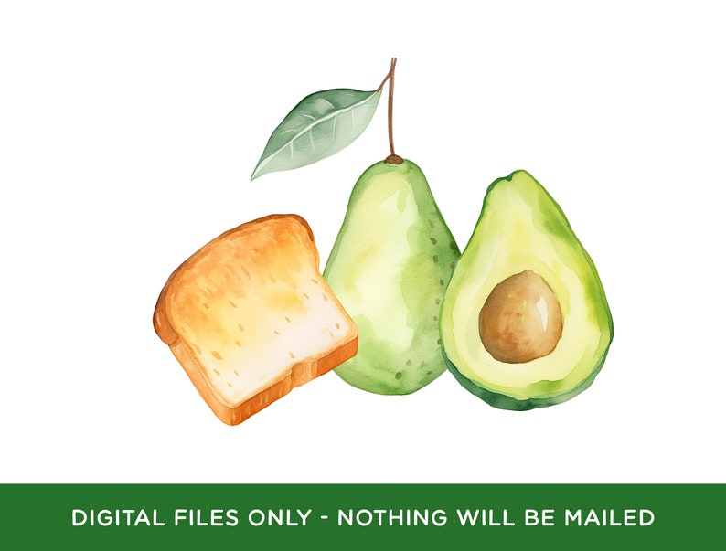Avocado Clipart Bundle, Watercolor PNG Sublimation Graphics Commercial ...