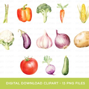 Vegetable Clipart Bundle Set, Watercolor Veggies PNG Healthy Food ...