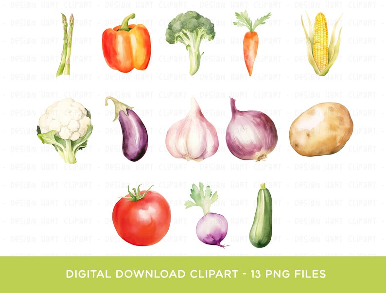 Vegetable Clipart Bundle Set, Watercolor Veggies PNG Healthy Food ...