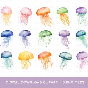 Jellyfish Clipart Bundle, PNG Graphics Digital Download Watercolor ...