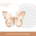 Butterfly Clipart Bundle Watercolor Boho Beige Neutral Soft Pastel ...