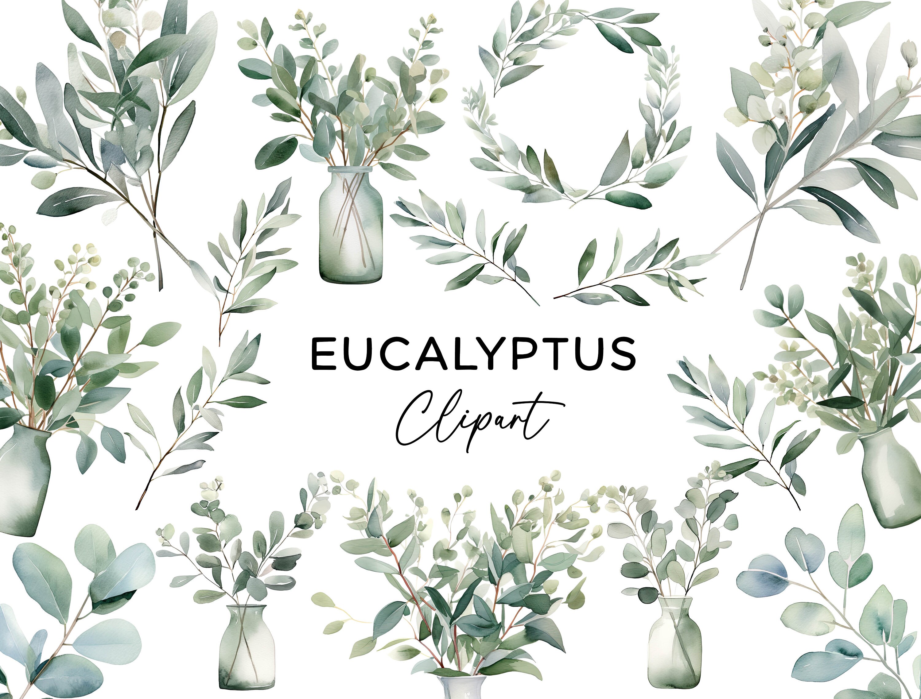 Eucalyptus Clipart Bundle, Watercolor Greenery Foliage Leaves PNG ...