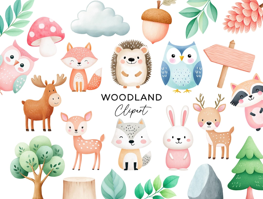 Woodland Animals Clipart Bundle, Forest Animal PNG, Nursery Woodland ...