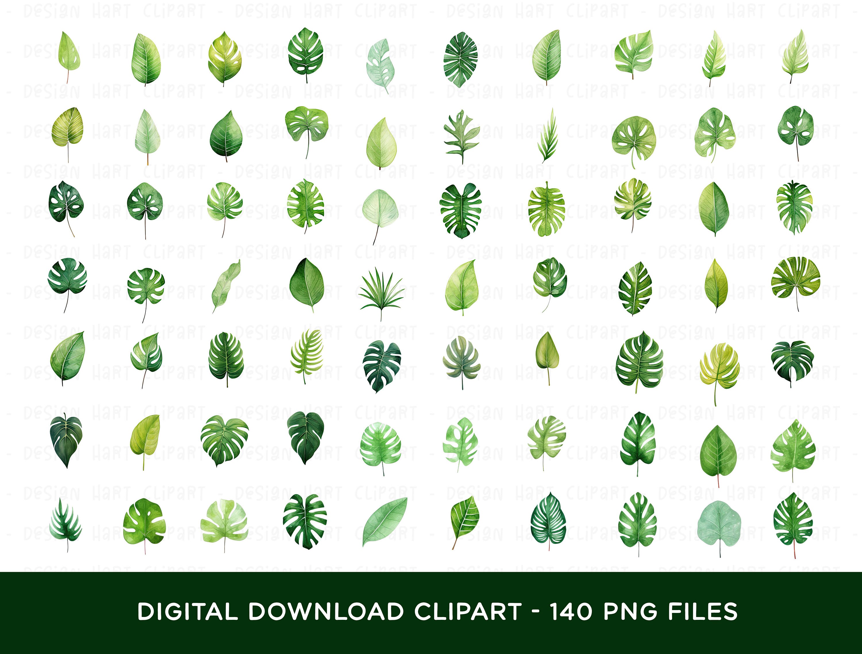 Monstera Leaf Clipart Bundle, Watercolor Greenery PNG Download Painted ...
