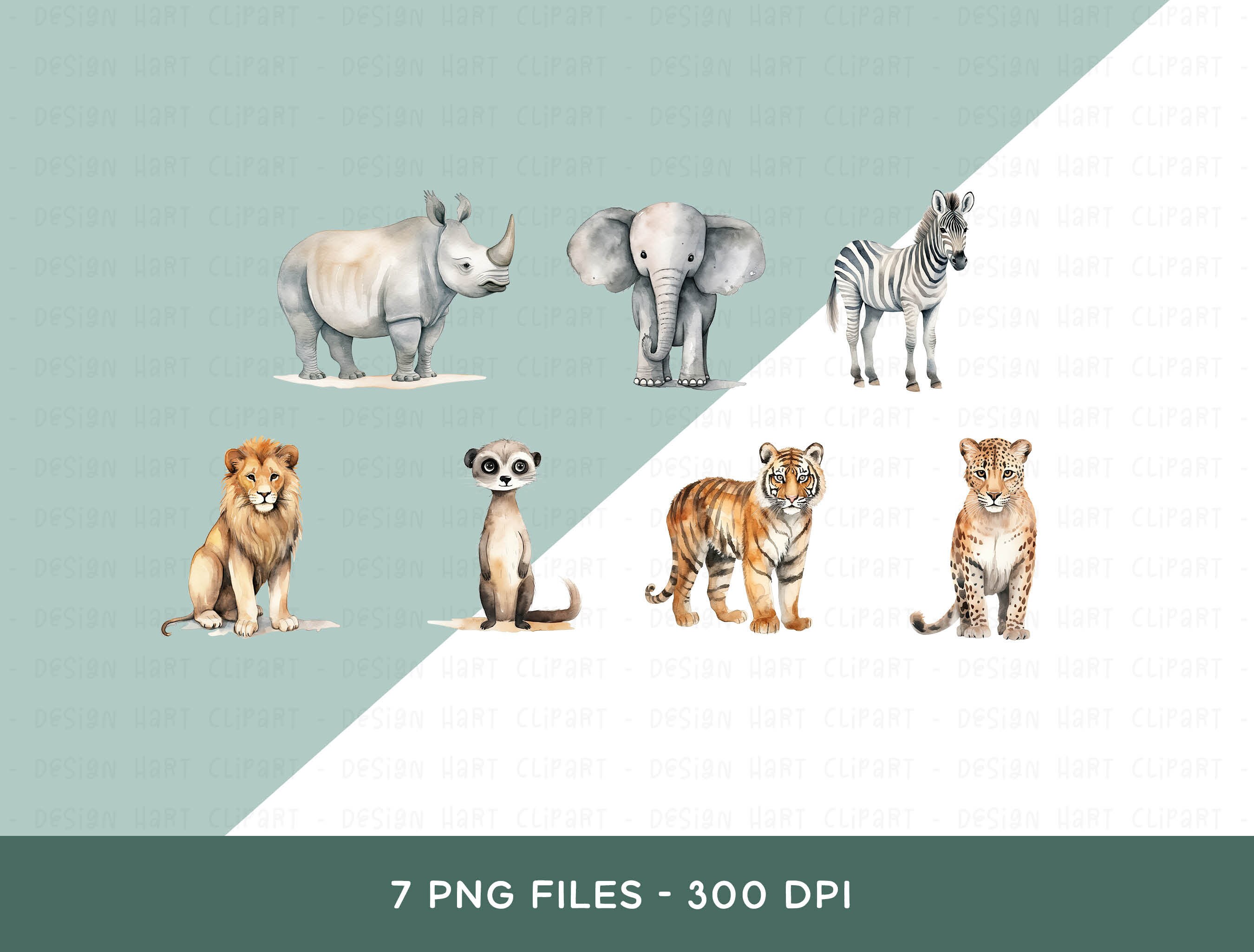 Zoo Animal Clipart Bundle, Watercolor Safari PNG Graphics, Commercial ...