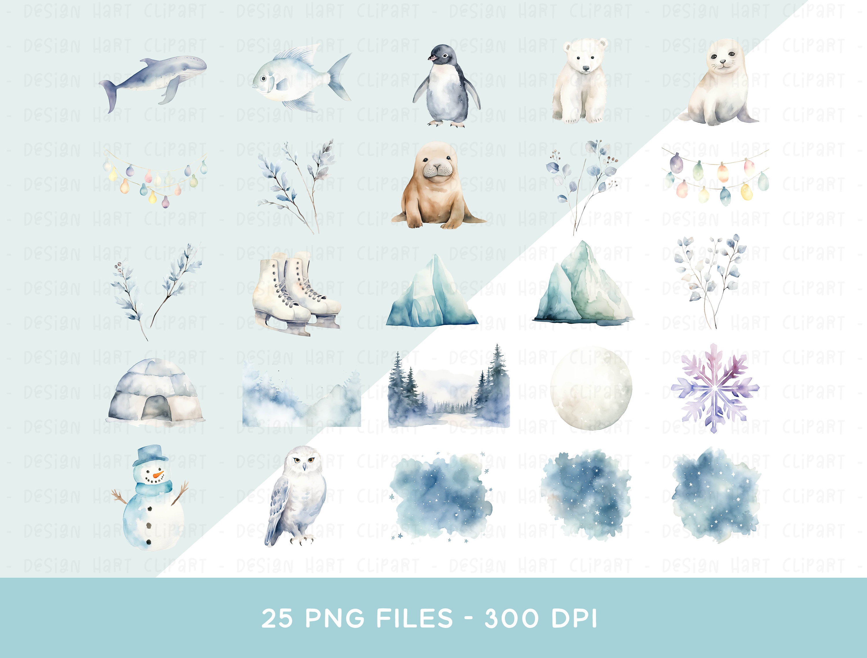 Arctic Animals Clipart Bundle Watercolor Seal Penguin Whale Iceberg PNG ...