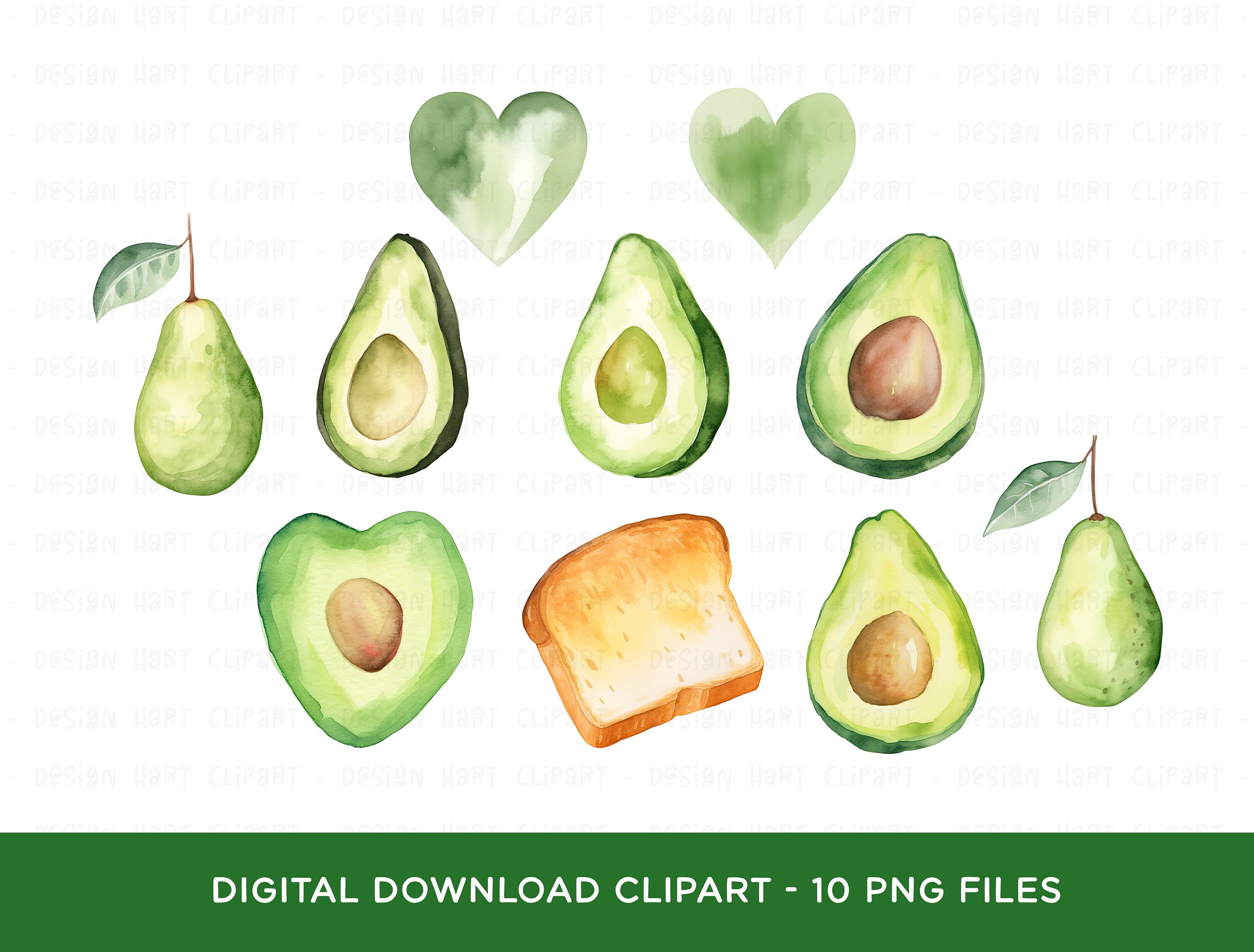 Avocado Clipart Bundle, Watercolor PNG Sublimation Graphics Commercial ...