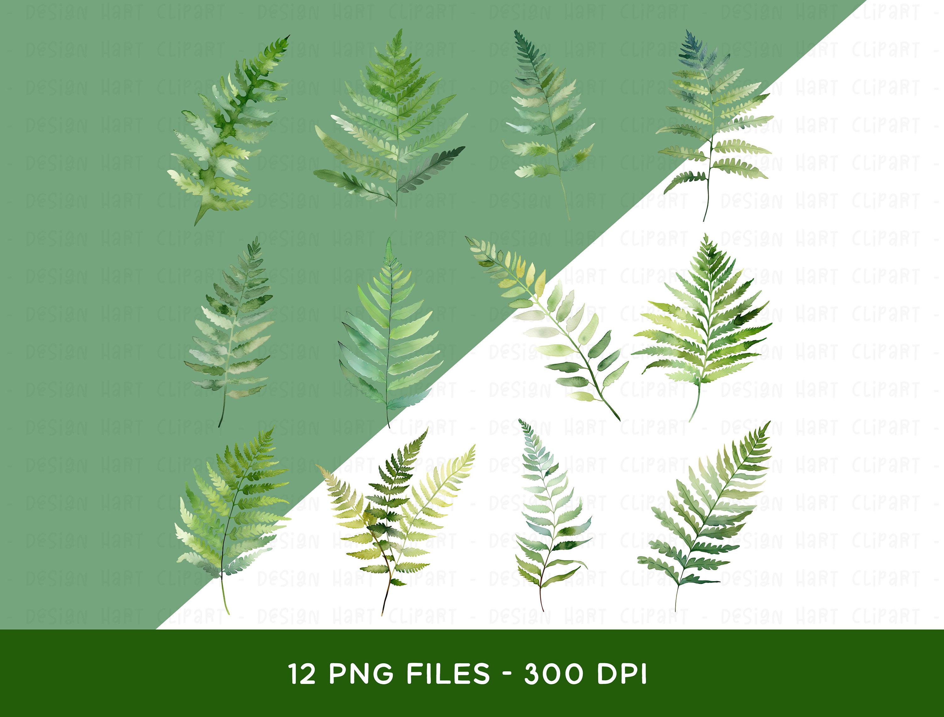 Watercolor Ferns Clipart Bundle, PNG Leaf Greenery for Wedding ...