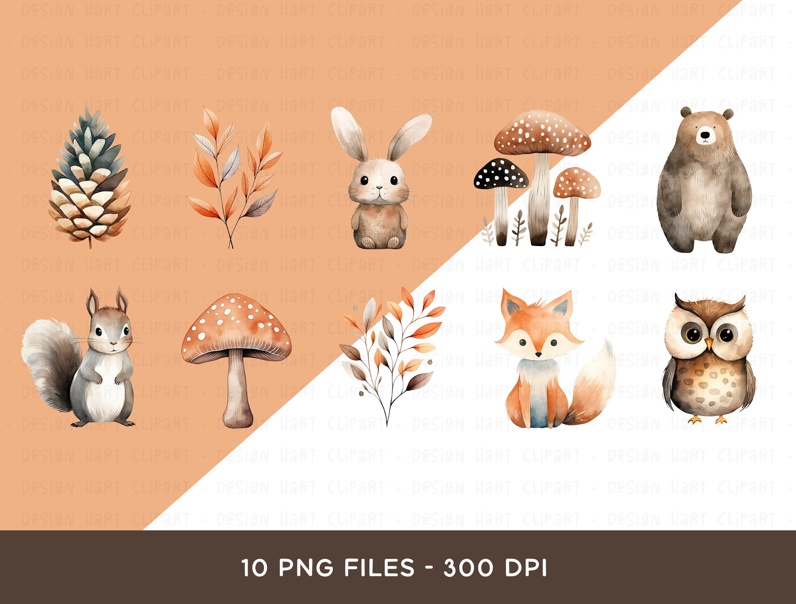 Woodland Animals Watercolor Clipart Forest PNG Bundle Cute - Etsy