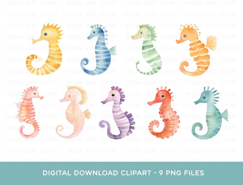 Seahorse Clipart Bundle, PNG Graphics Digital Download Watercolor Ocean ...