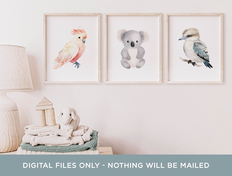 Australian Animal Clipart Bundle Watercolor Aussie Wildlife PNG for ...