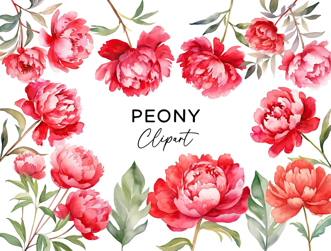 Watercolor Peonies Clipart Bundle, PNG Sublimation Red Floral Flower ...