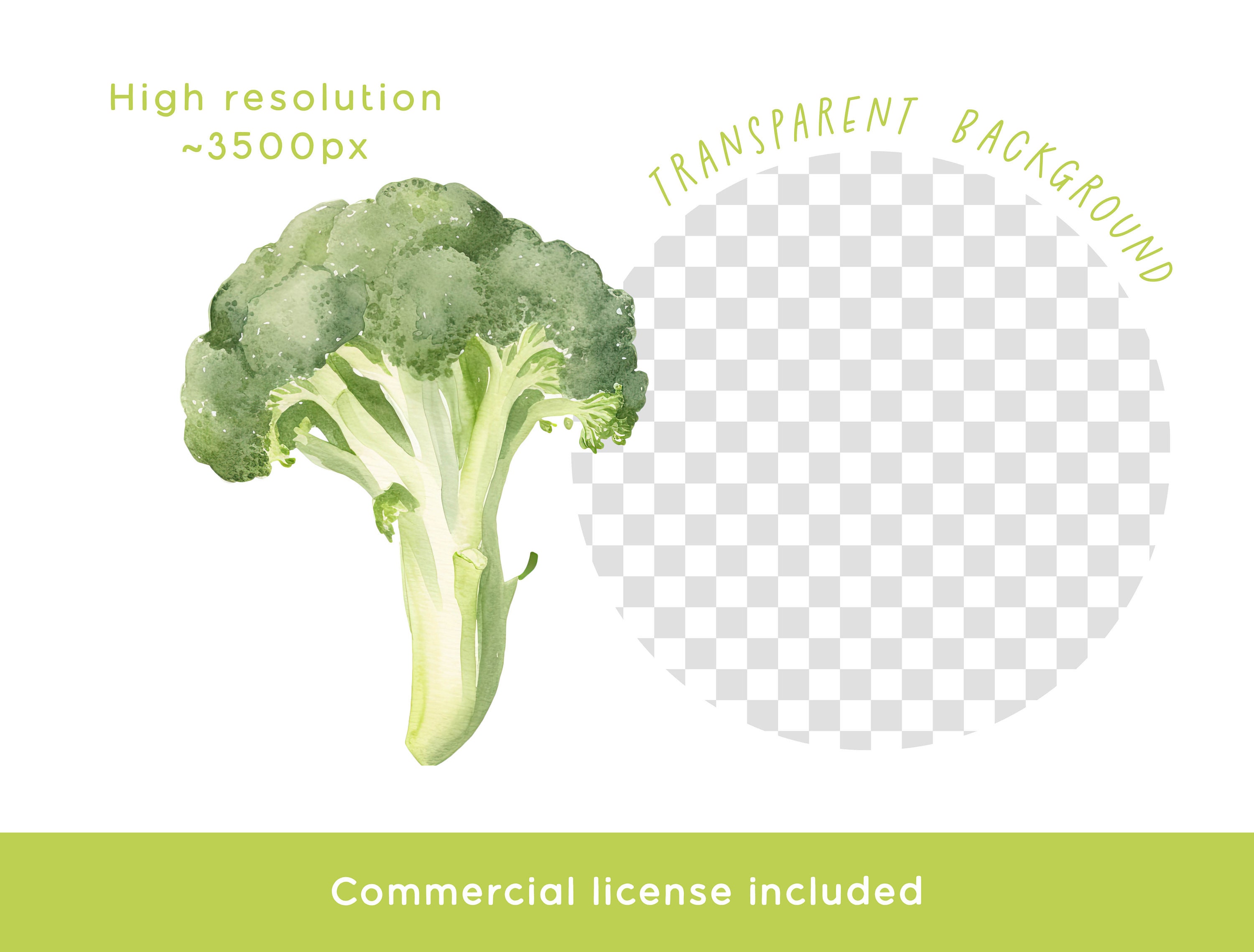 Vegetable Clipart Bundle Set Watercolor Veggies PNG Healthy - Etsy