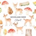 Watercolor Deer Clipart, Woodland Nursery Decor Printable Clipart for ...
