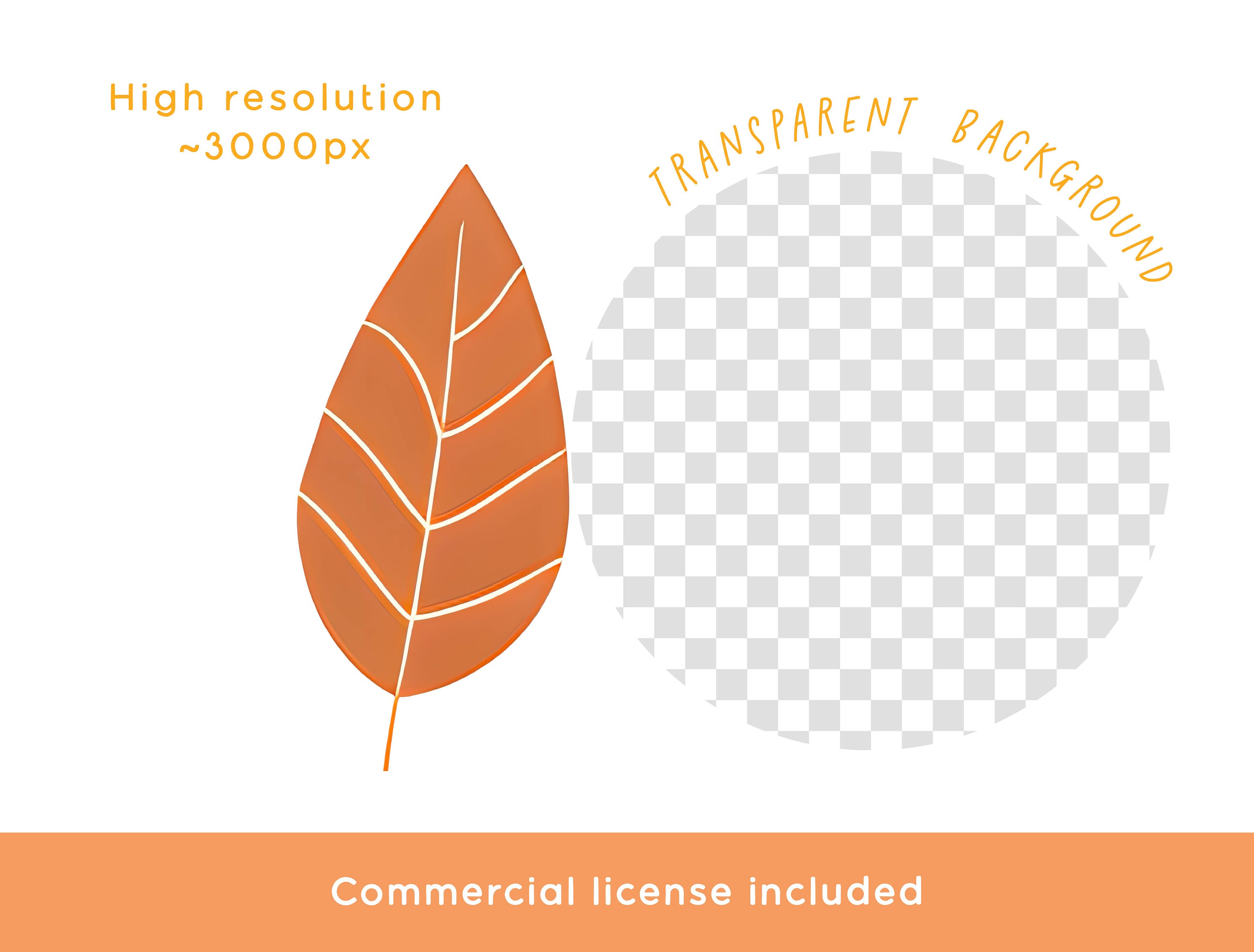 Fall Leaves Clipart Bundle, PNG Commercial Use, Autumn Leaf Graphics ...